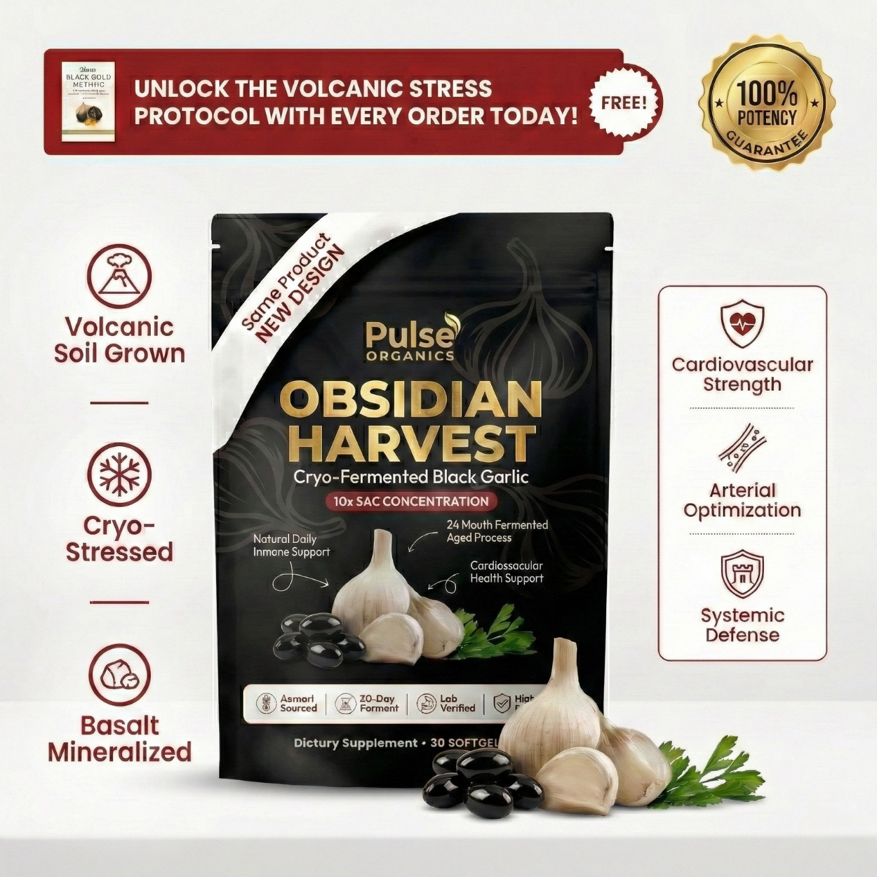Obsidian Harvest Garlic - 7500mg Odorless Softgels – Pulse Organics
